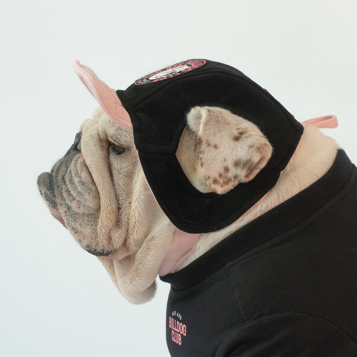 WONTON Badass Bulldog Club ONE CAP 2 in black and pink – Wonton Collection