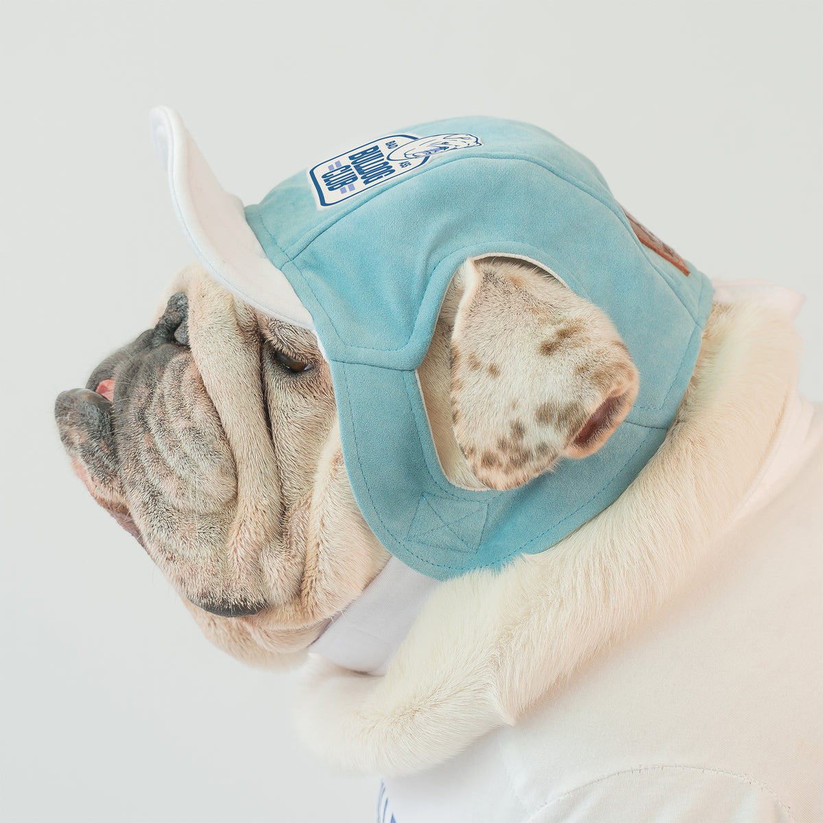 WONTON Badass Bulldog Club ONE CAP 2 in baby blue – Wonton Collection