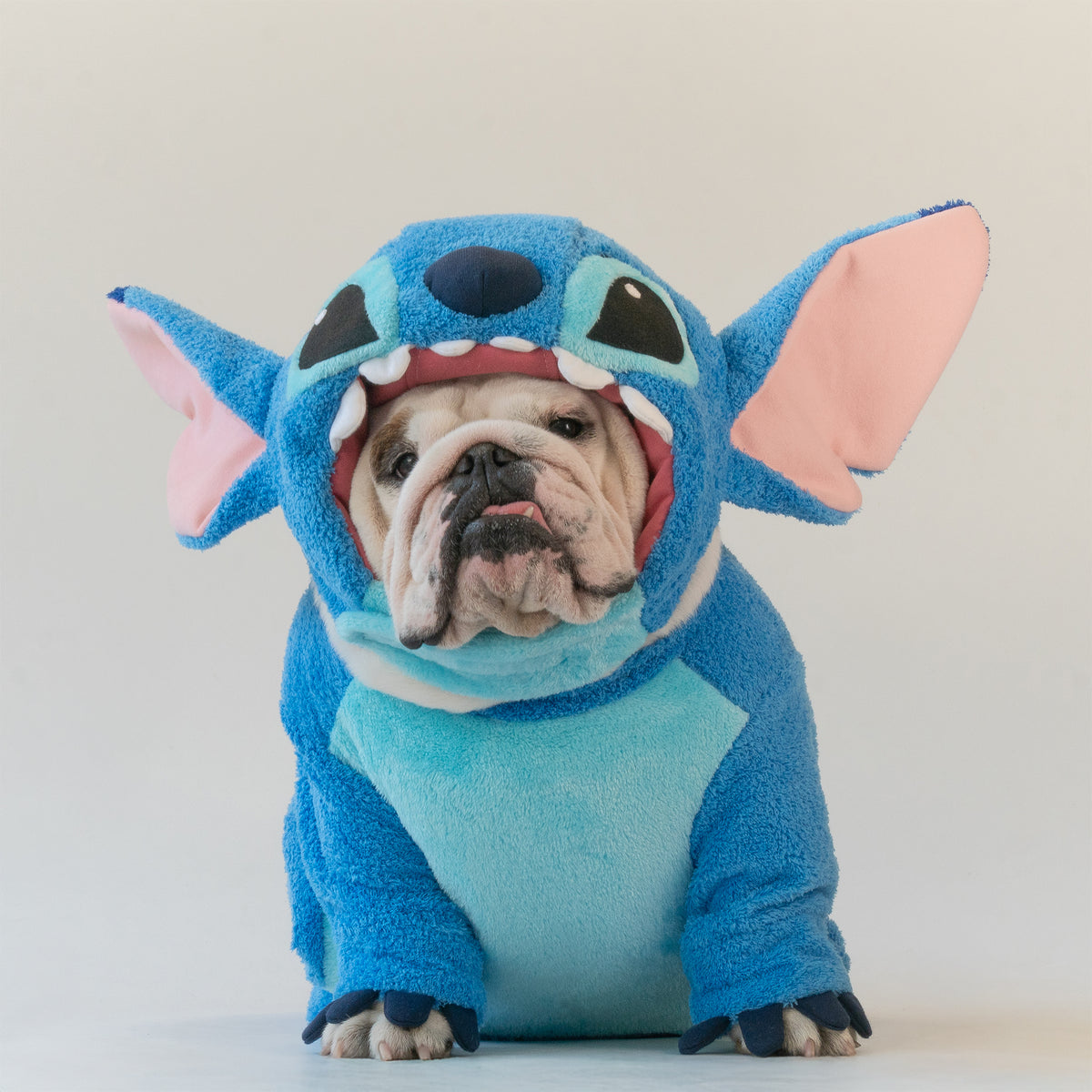 WONTON Blue Alien costume – Wonton Collection