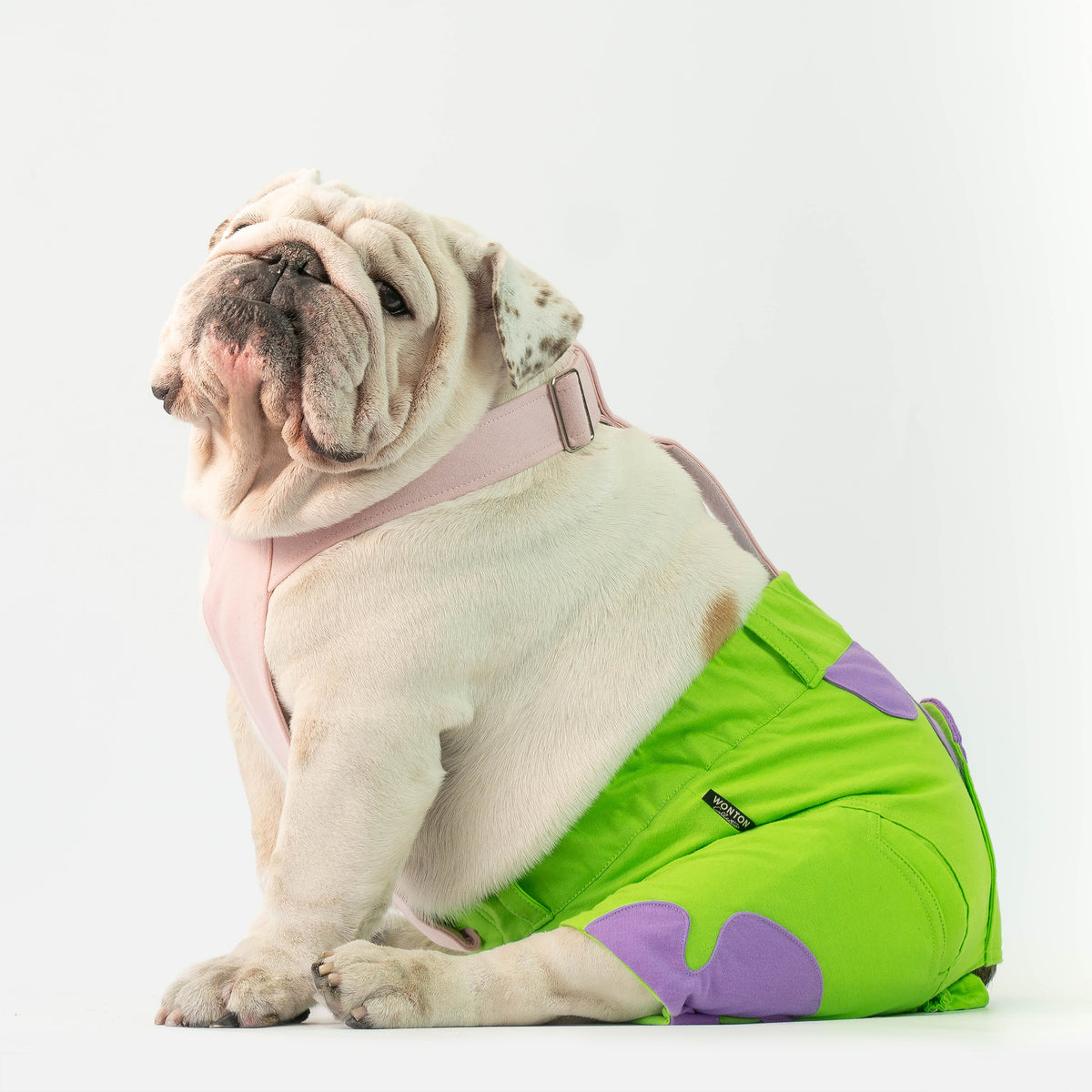 WONTON Patrick ONE PANTS THREE, SPECIAL EDITION – Wonton Collection