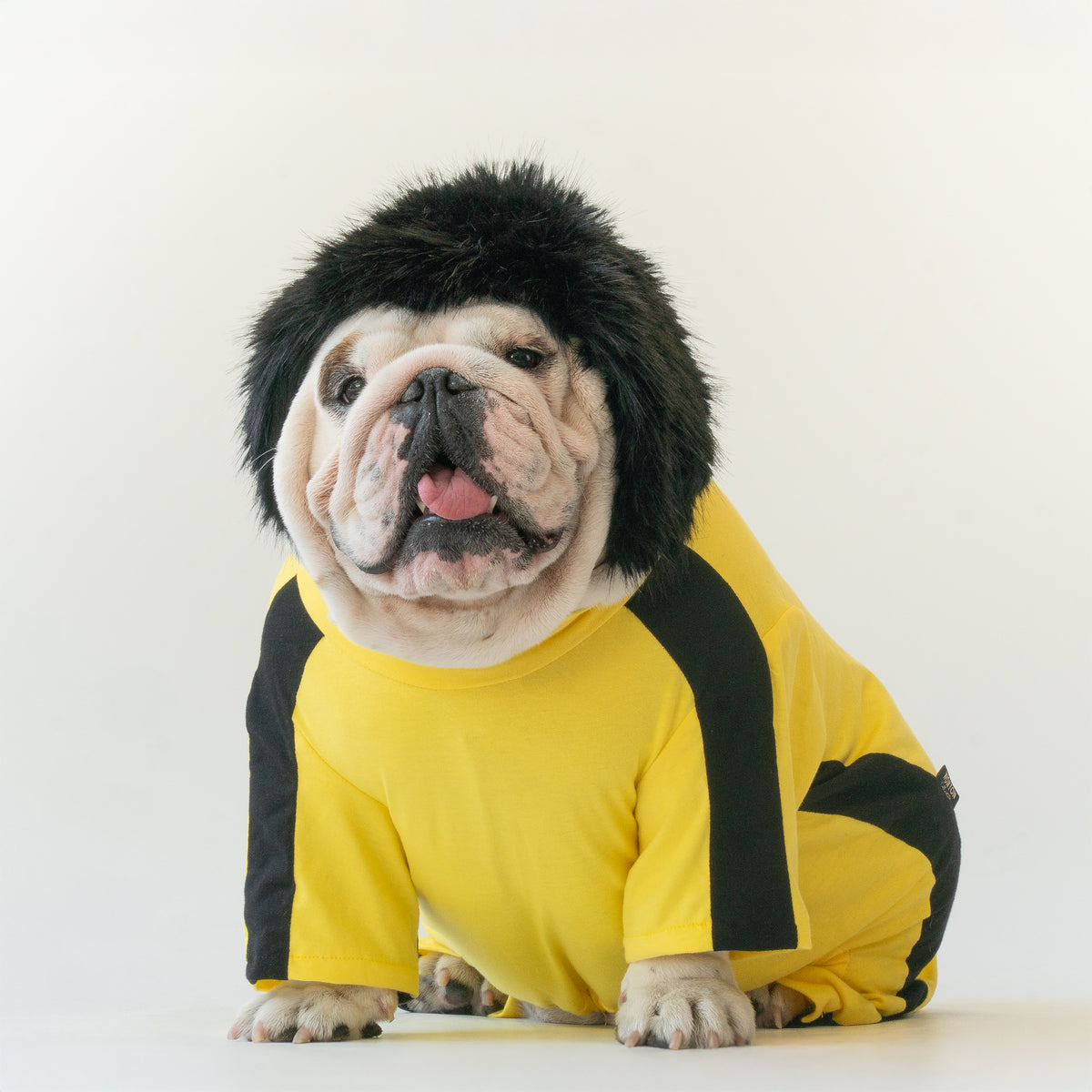 WONTON Woof Lee costume, CHINESE NEW YEAR LIMITED EDITION – Wonton ...