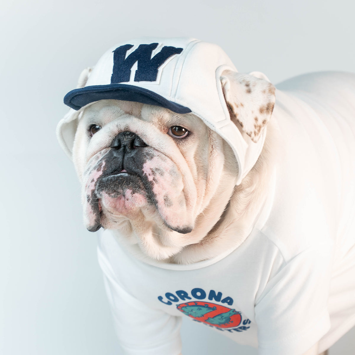 WONTON ONE CAP 2 in white and navy – Wonton Collection